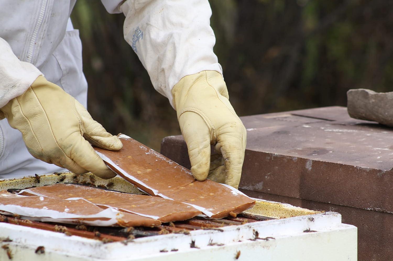 Global Patties 4% Pollen Patties for Bees - 1 lb | Protein Food ...