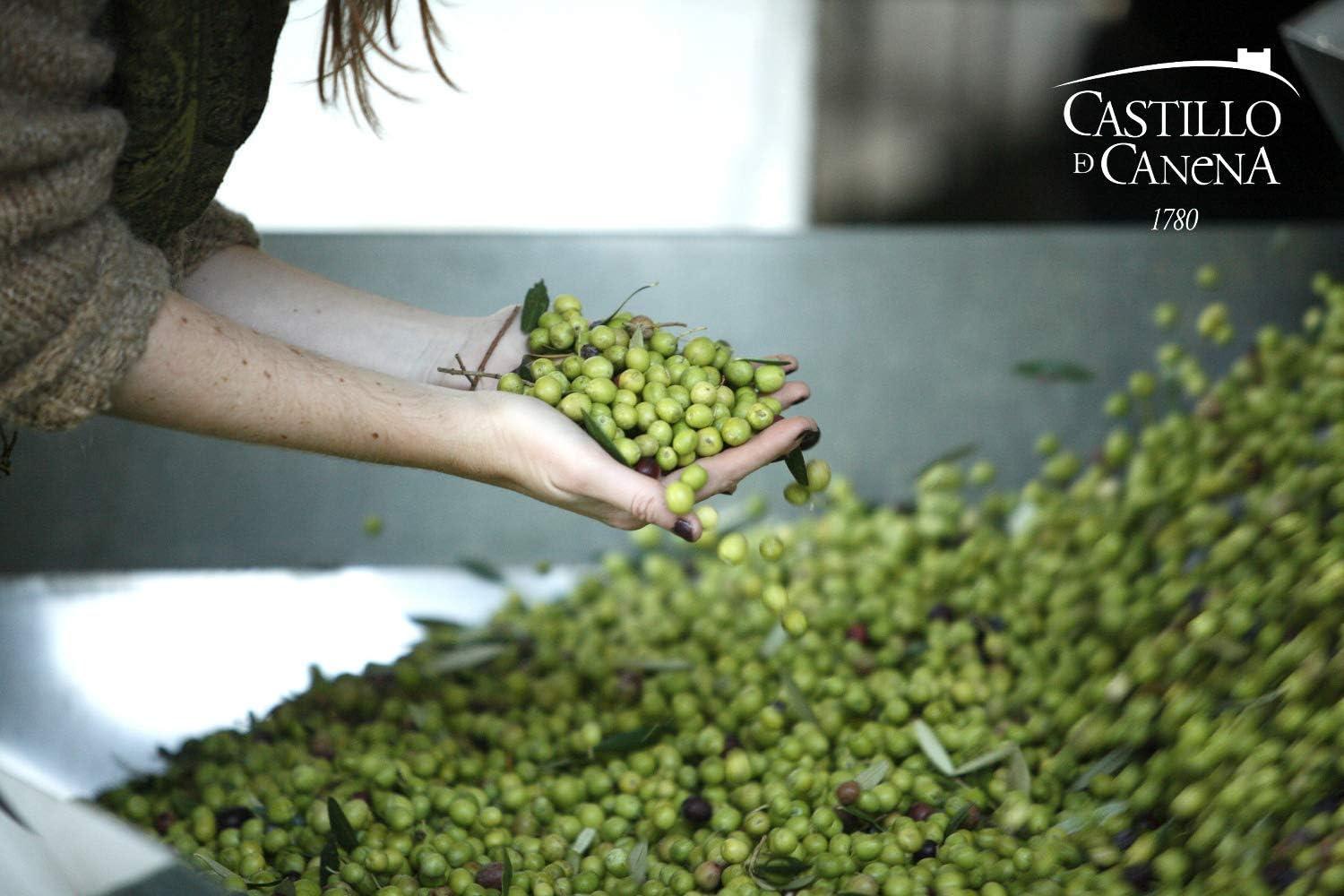 Castillo DE CANENA Reserva Familiar Picual - Spanish Extra Virgin Olive ...