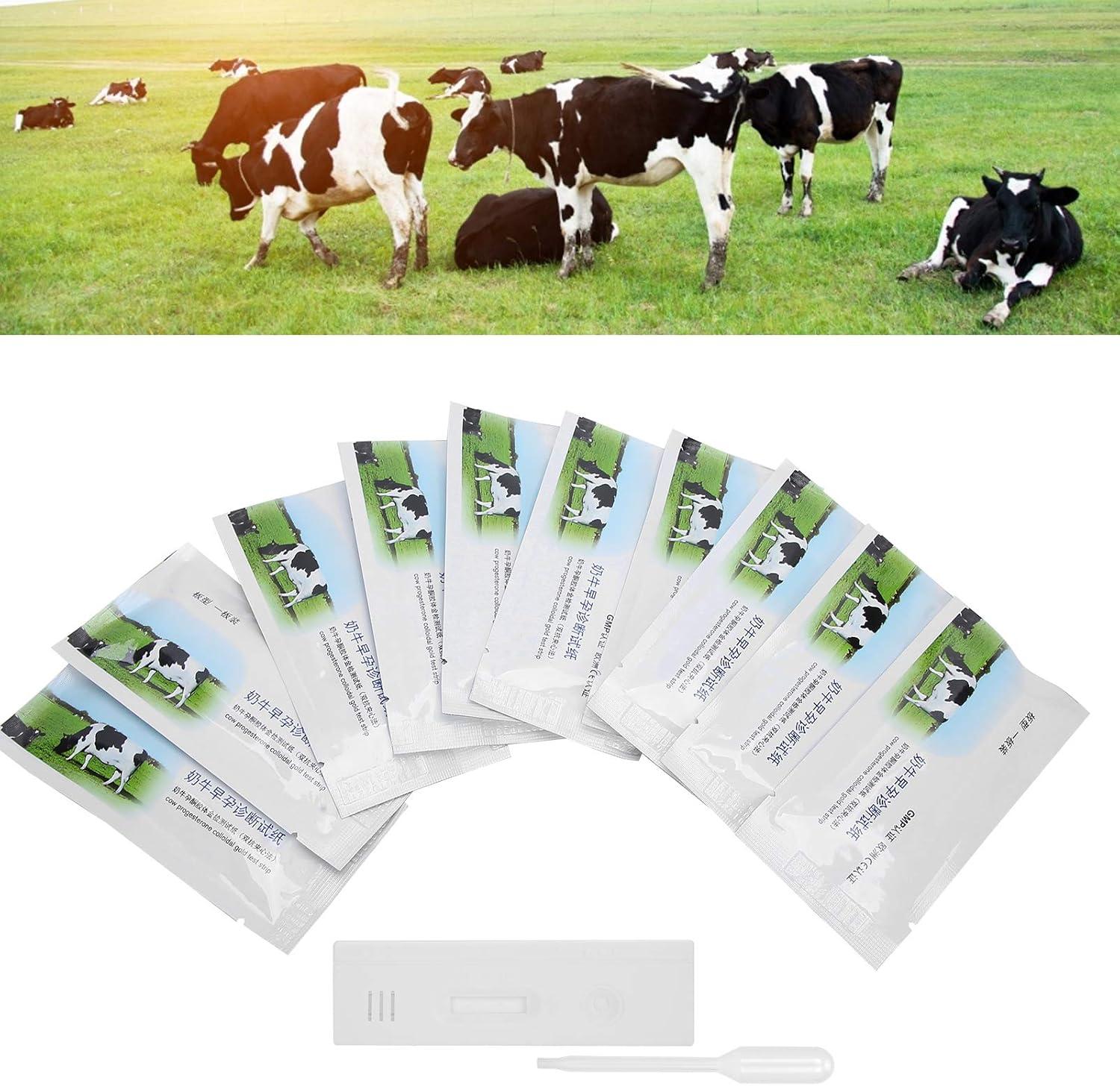 AllSor 10-Piece Cow Pregnancy Test Paper - Early Detection Strips for ...