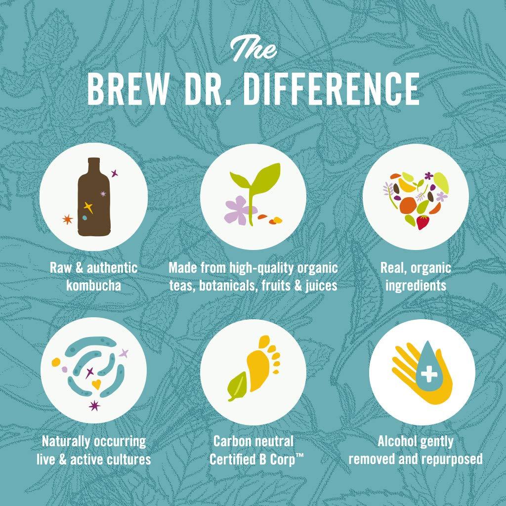 Brew Dr. Kombucha Clear Mind 14oz - Refreshing and Organic Kombucha Drink