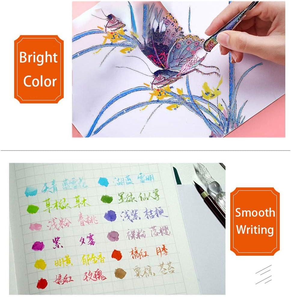 ZZKOKO Calligraphy Ink Bottle 12 Colors Dip Calligraphy Pen Inks Set ...
