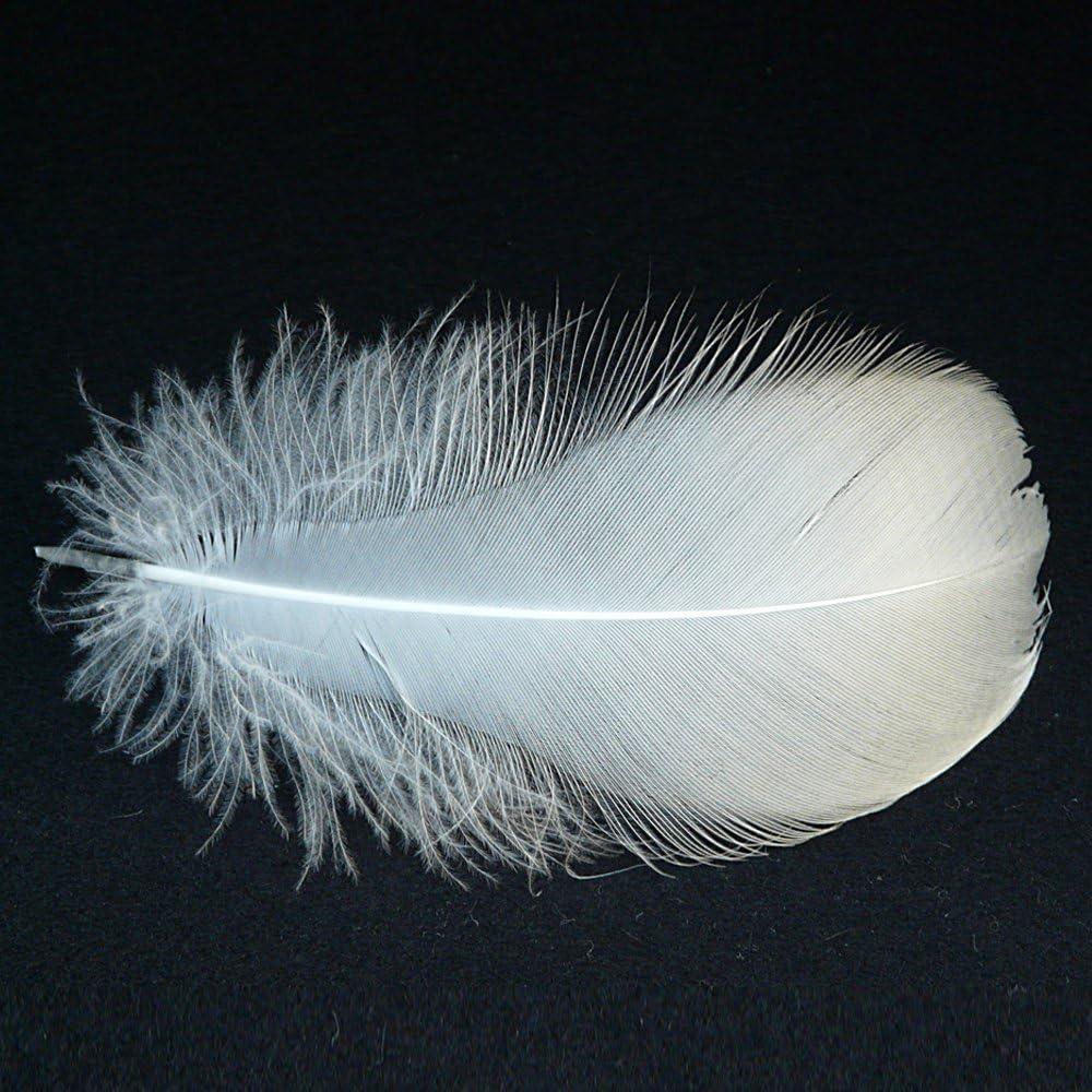 HaiMay 450 White Feathers for Craft Wedding & Party Decor 3-5 inches ...