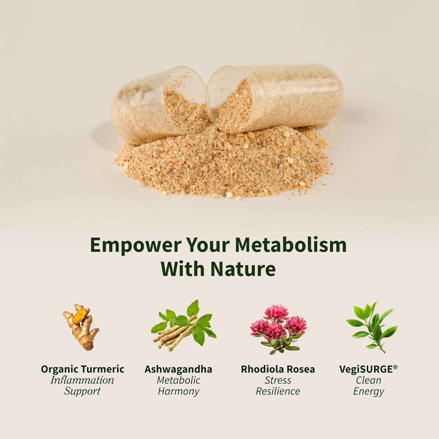 Metabolism & Natural Energy Supplements for Fatigue Relief | Stress ...