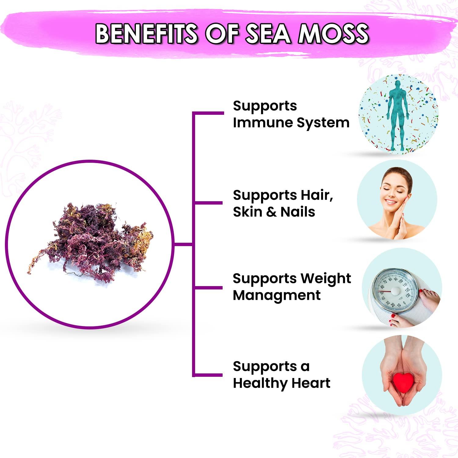 Dr Sebi Inspired Purple Irish Sea Moss - Organic Raw 8 oz | Enriched ...