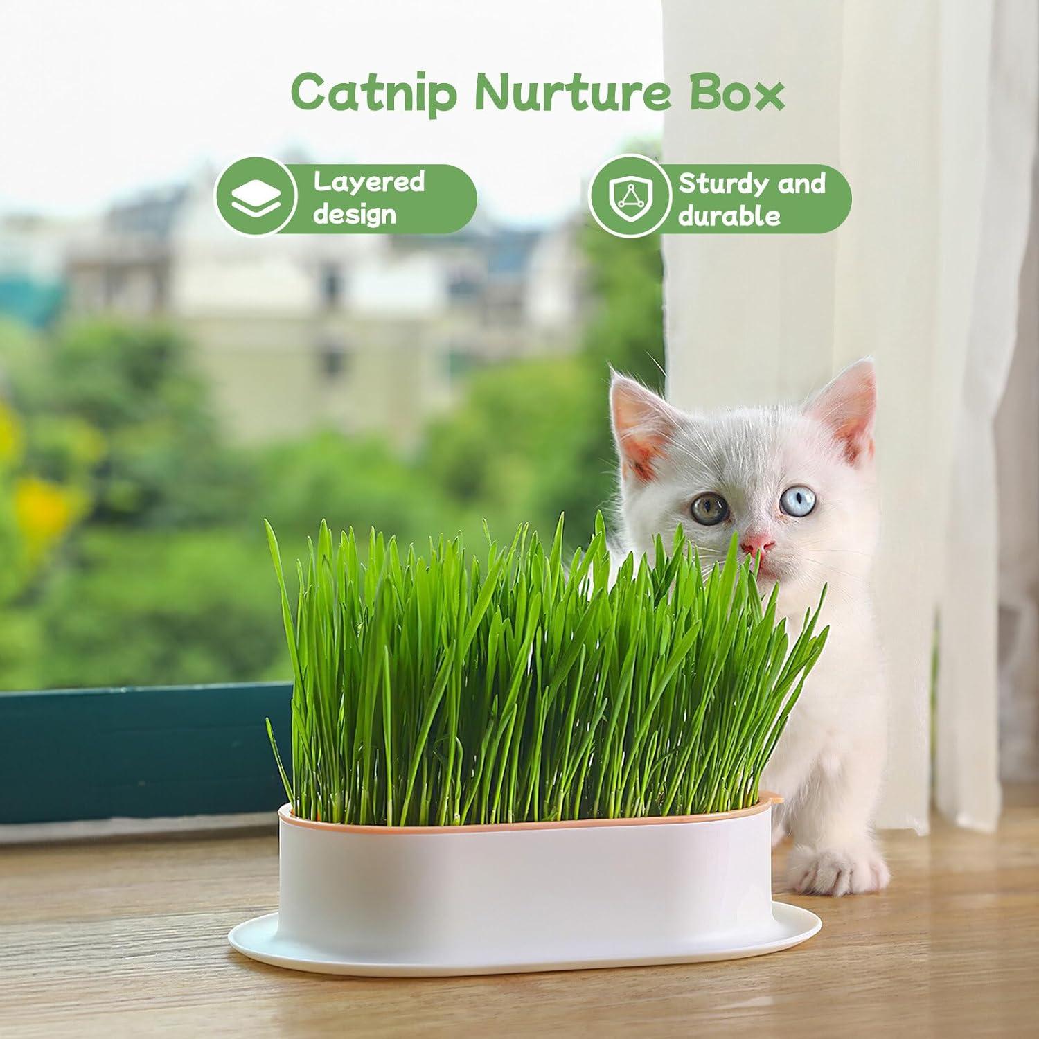 UNISOPH 3pcs Cat Grass Planter Cat Grass Planting Container Catnip Cat ...