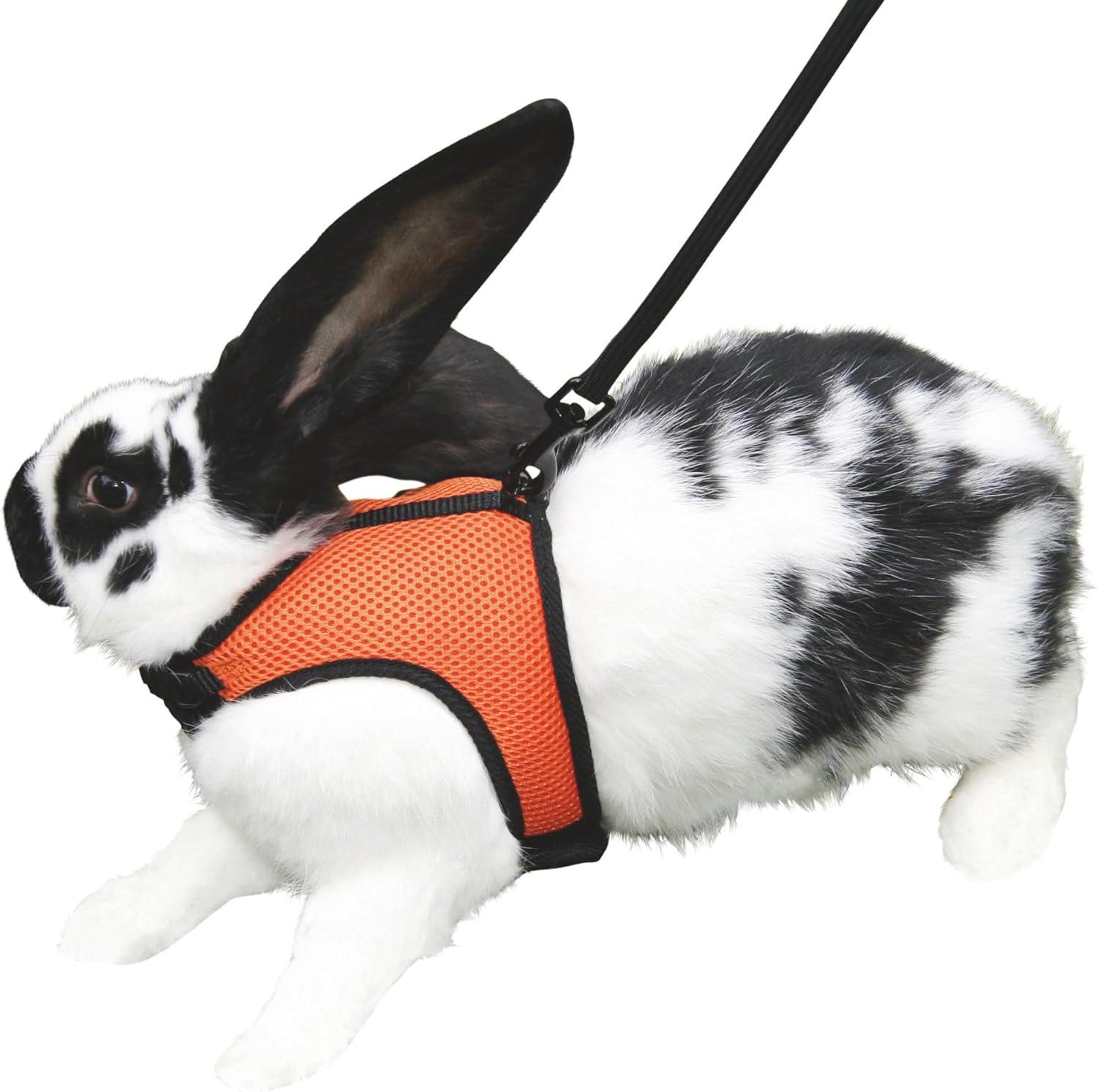 Shop Kerbl Rabbit Harness with Flexible Leash - Adjustable 22-26 cm ...