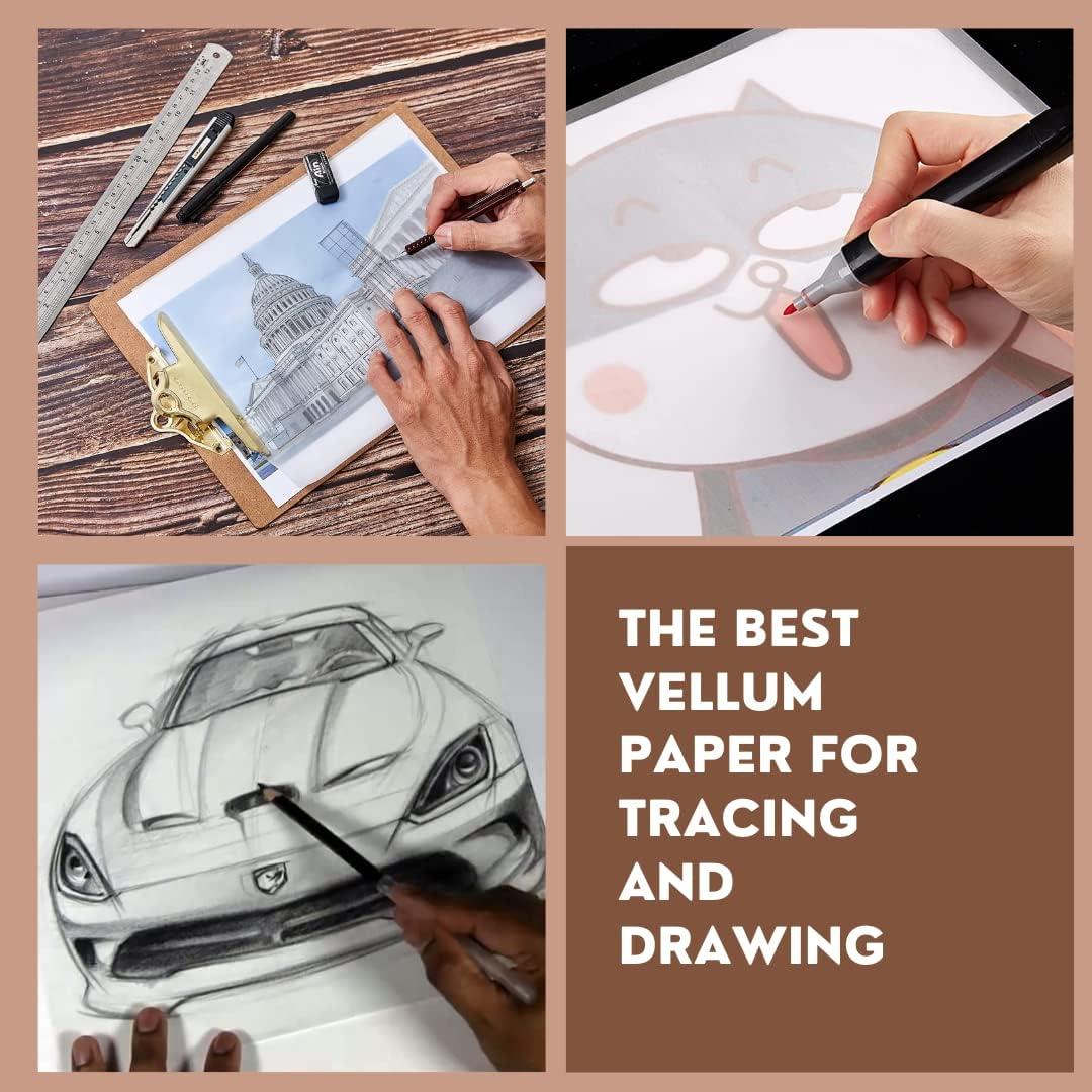 Paper Gator Vellum Paper Pack of 55 Sheets 8.5 x 11 Inches Translucent Printable Sheets| 93 GSM ...