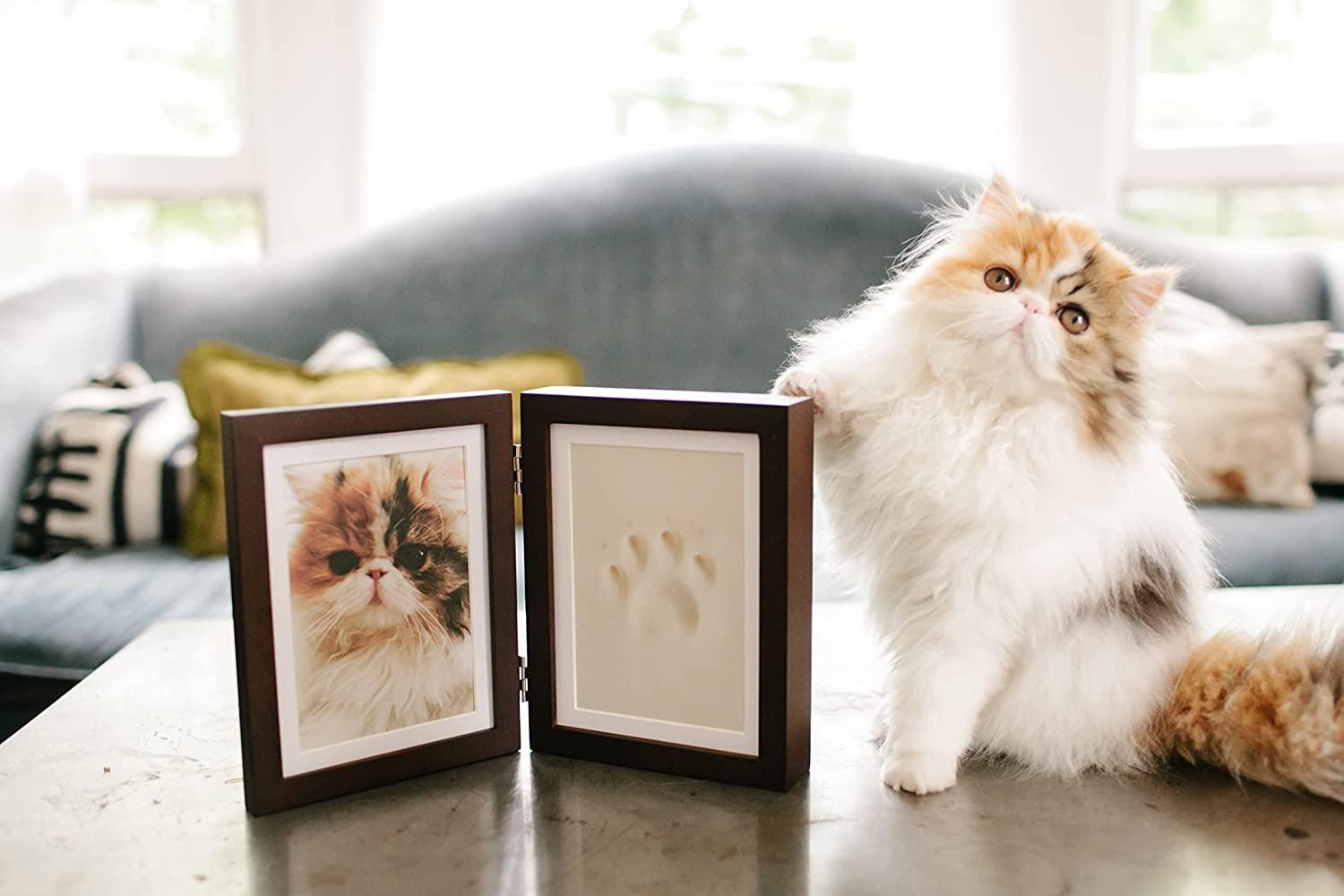 Pearhead Pet DIY Pawprints Desk Frame Kit in Espresso for Dogs & Cats ...