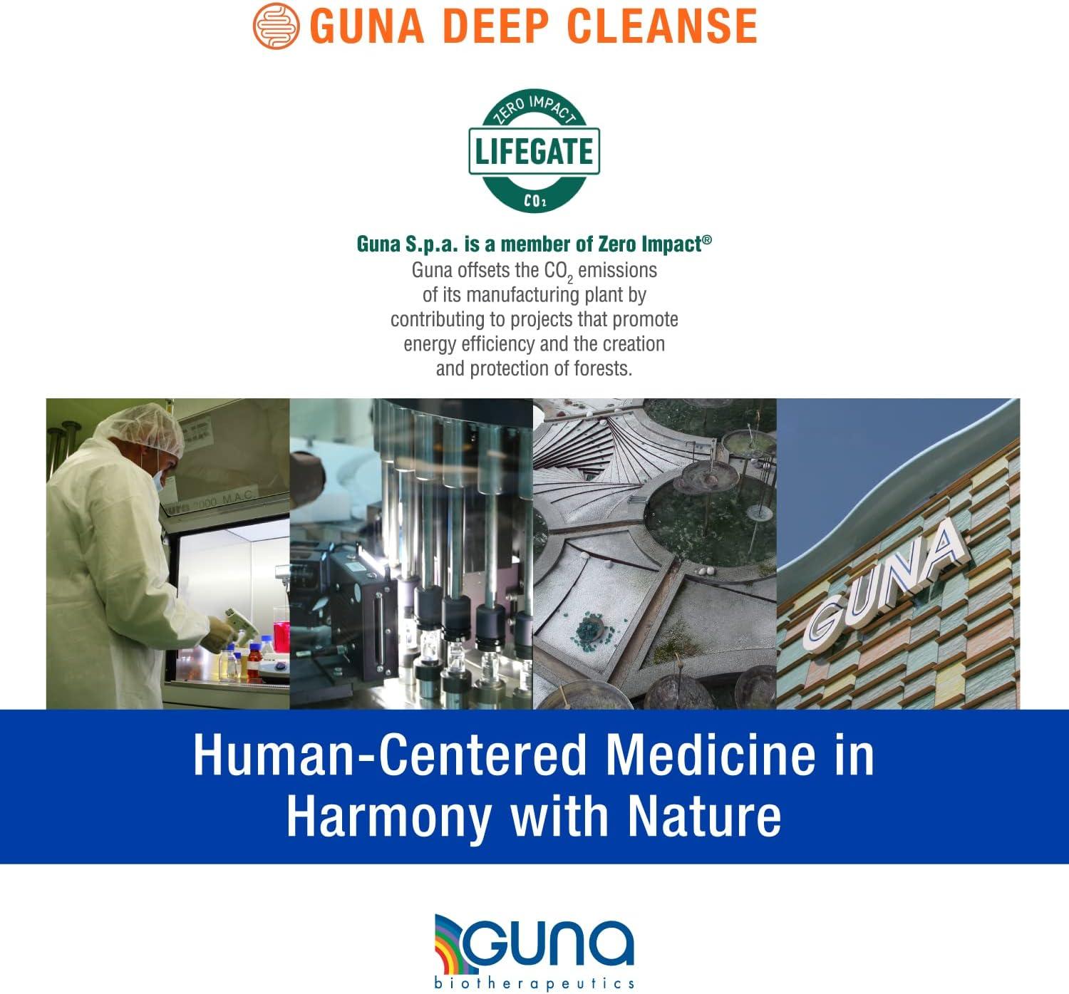 Guna Deep Cleanse Systemic Body Cleansing Detox - Liver & Kidney ...