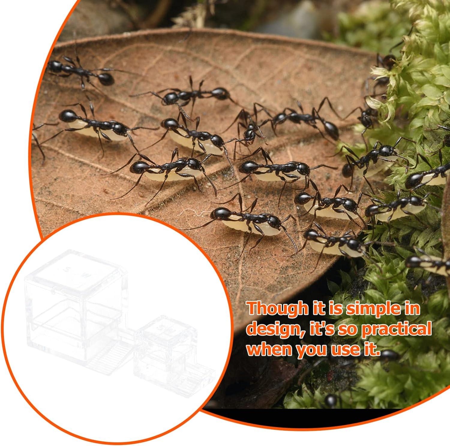 BCOATH 2pcs Ant Water Feeder Pet Water Bowl Portable Water Dispenser ...