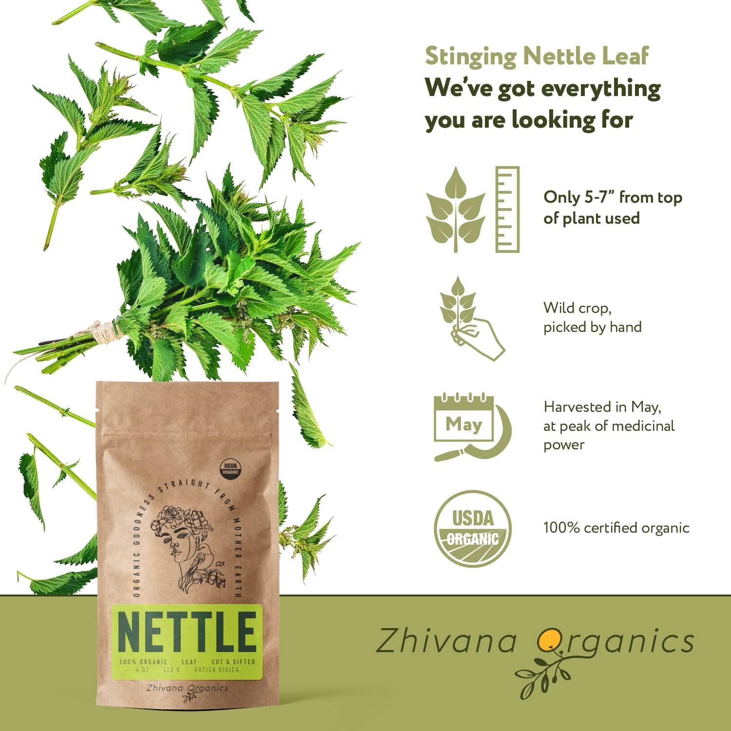 Organic Nettle Leaf Tea - Wild Stinging Nettle Herb for Detox and ...