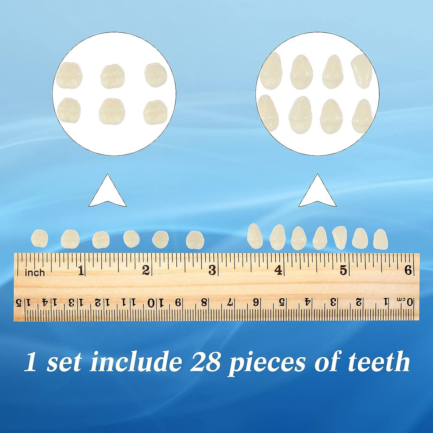 68-Piece Halloween Fake Teeth Set | Complete Acrylic Resin Denture Kit ...