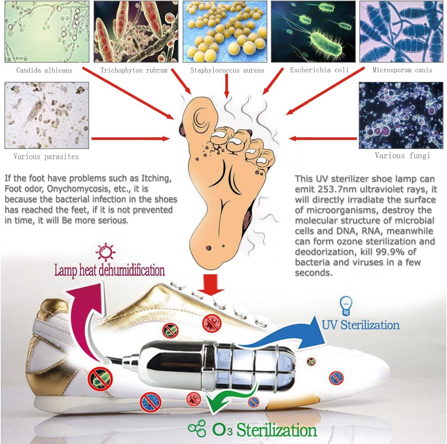 LinSmart UV Shoe Sanitizer Dryer & Deodorizer - Portable Ozone ...