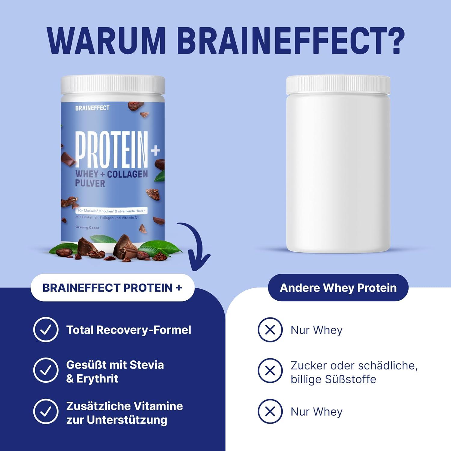 BRAINEFFECT PROTEIN+ | Sugar-Free Whey Protein Powder | Regeneration ...
