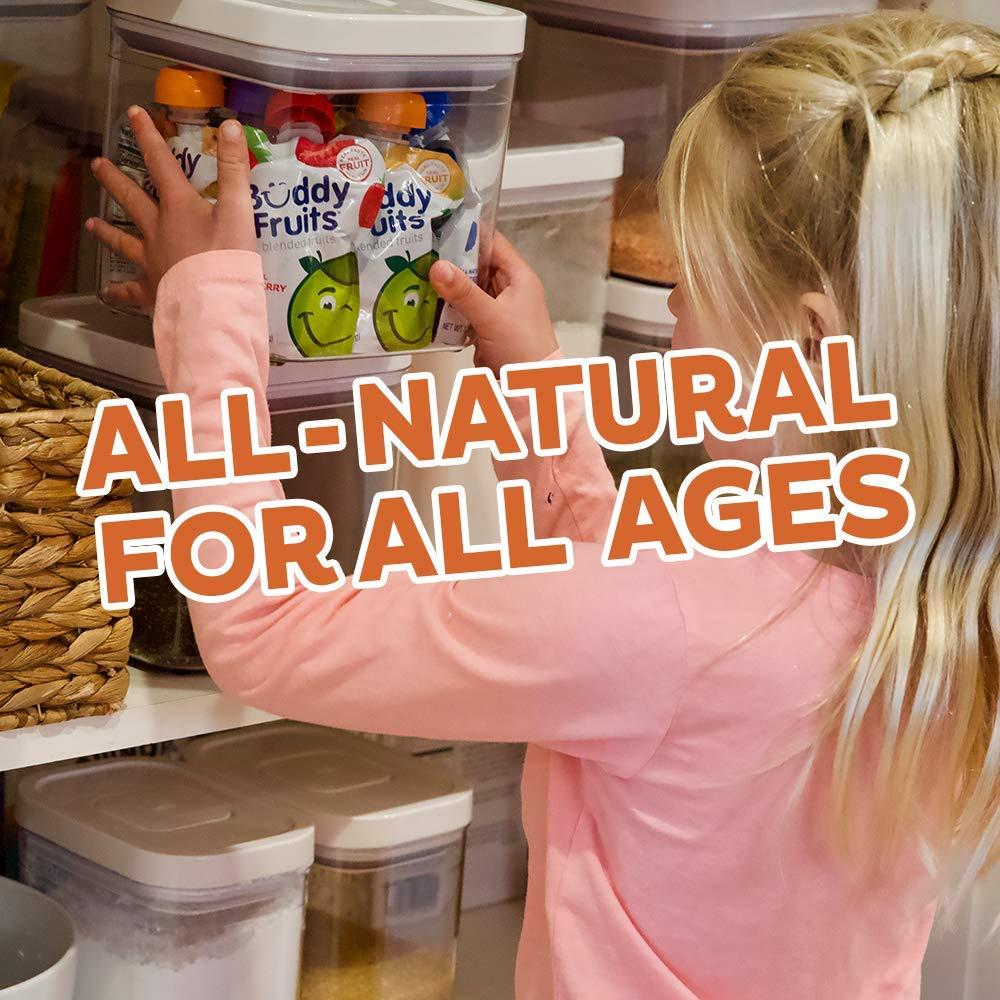 Buddy Fruits Pure Blended Fruit To Go 36PK | Apple, Mango, Banana ...