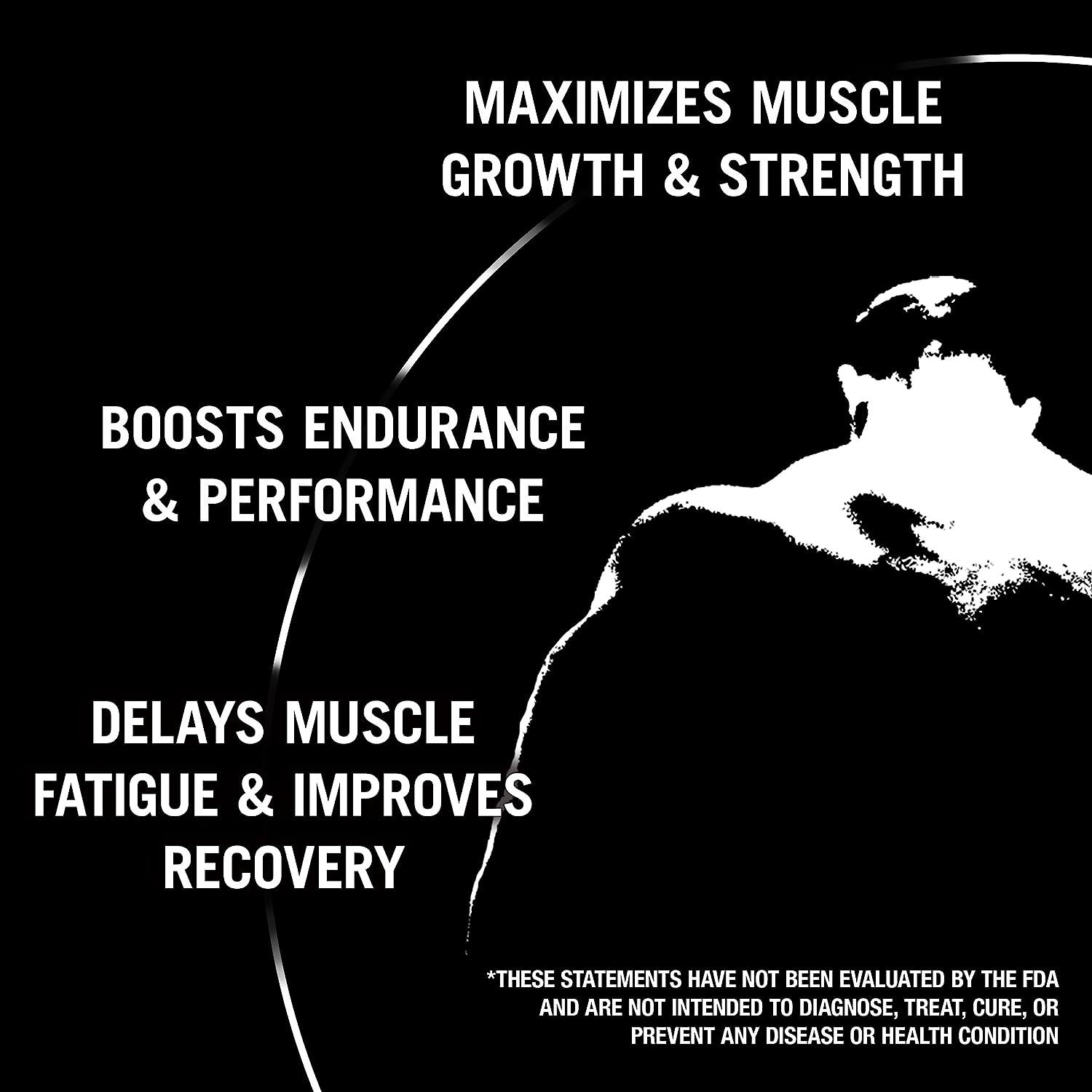 Animal Creatine XL Powder with PurpleForce & Senactiv - Enhanced ...