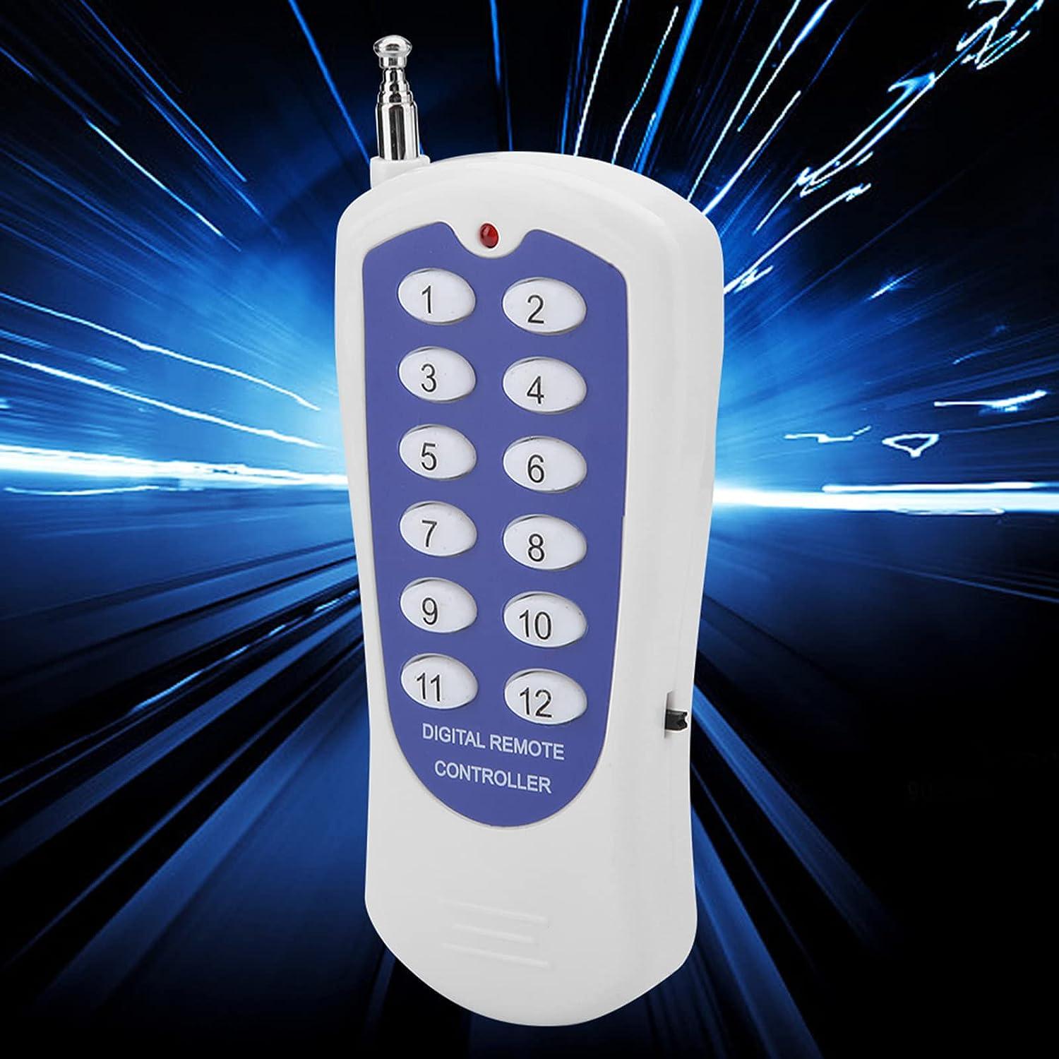 LIZEALUCKY Professional 12 Channel Wireless Fireworks Firing System ...