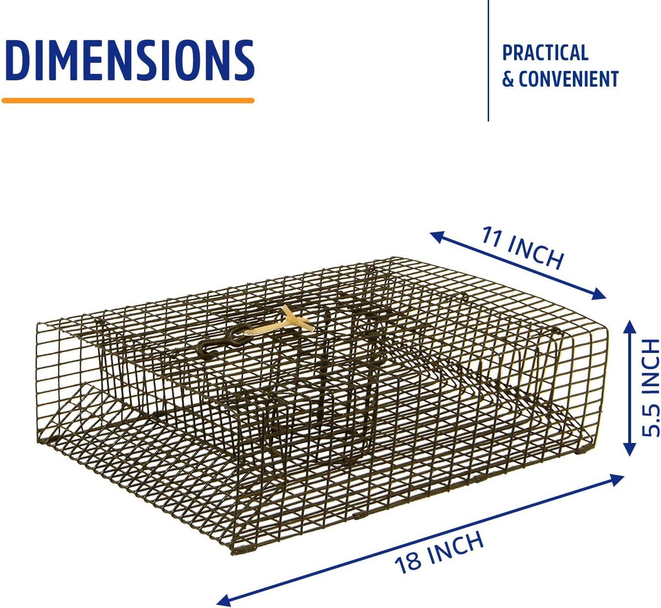 Protoco CT18R 11x18 Mesh Crawfish and Shrimp Trap - Freshwater ...