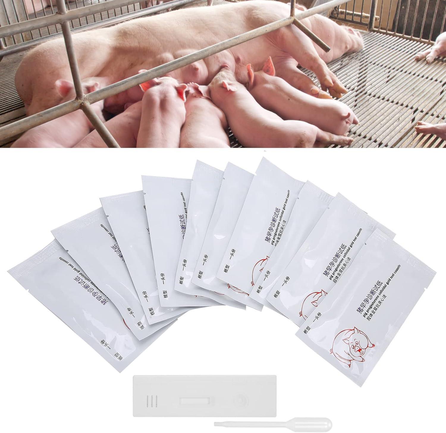 Pig Pregnancy Test Strips - Pack of 10 Disposable Early Detection Tool ...