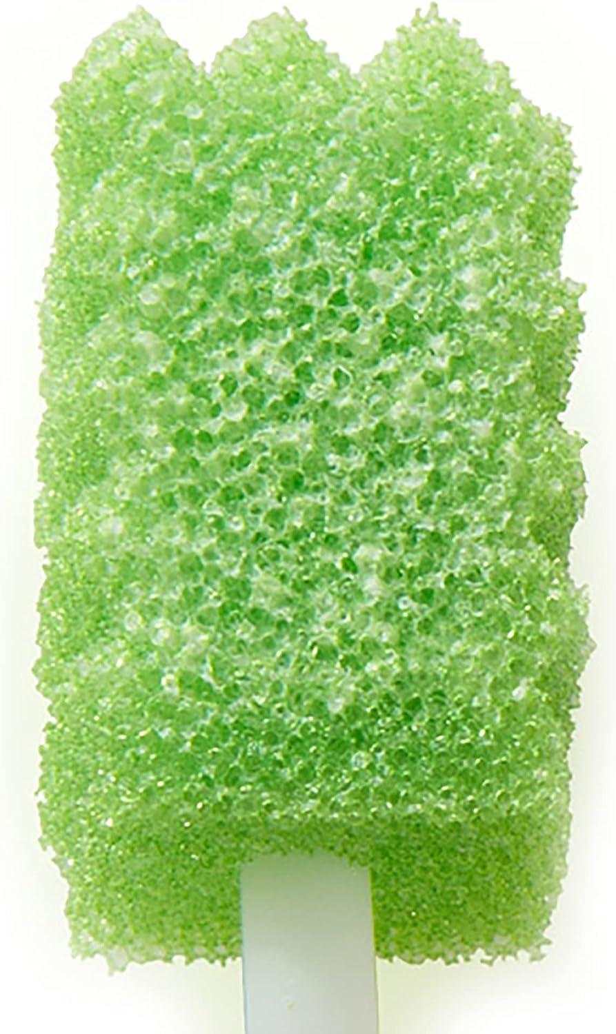 Toothette Short Term Swab System with Perox-A-Mint Solution - Oral Care ...