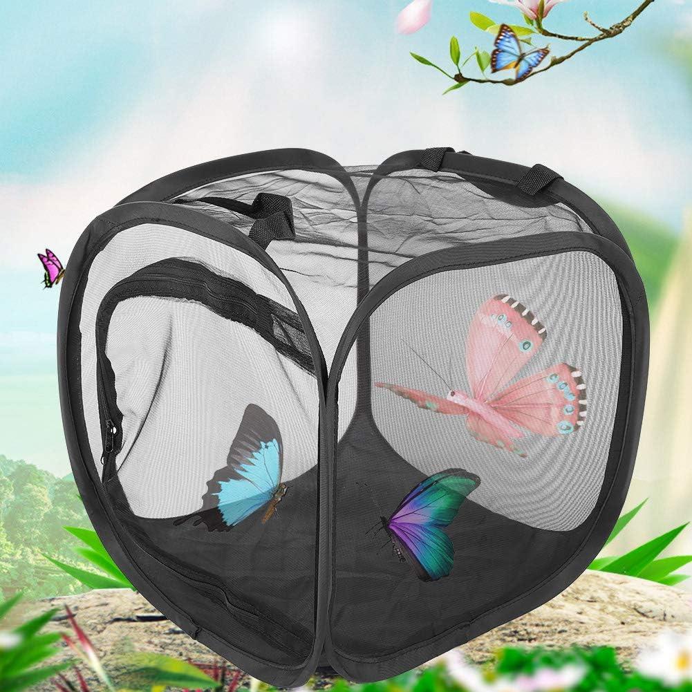 Insect Cage Insect Mesh Cage Enclosure Breeding Cages for Insects | Buy ...