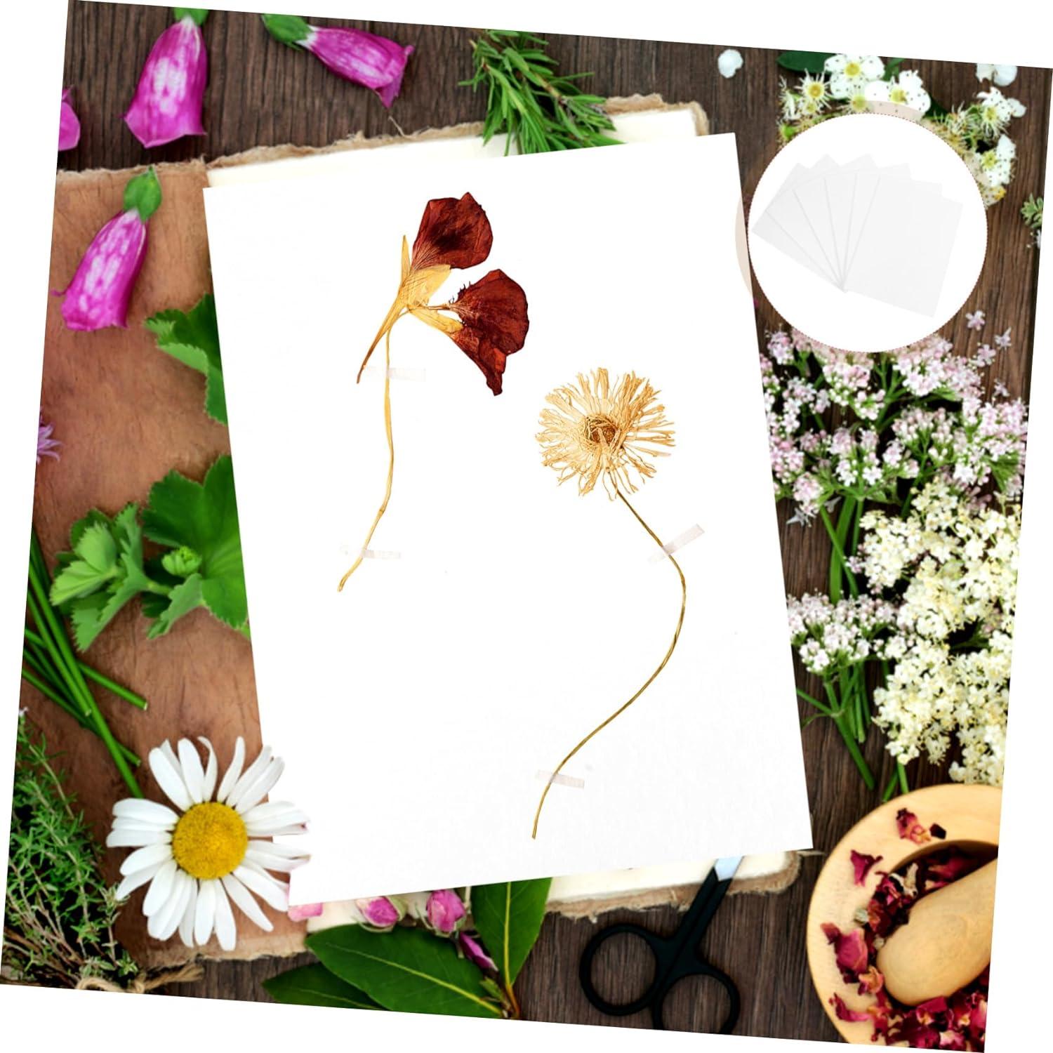 FRCOLOR Dried Flower Embossed Paper Preservation Kit for Oily Skin - 12 ...