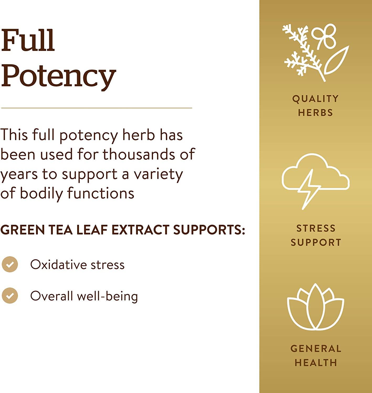 Solgar Green Tea Extract 60 Veg Capsules - Premium Antioxidant ...