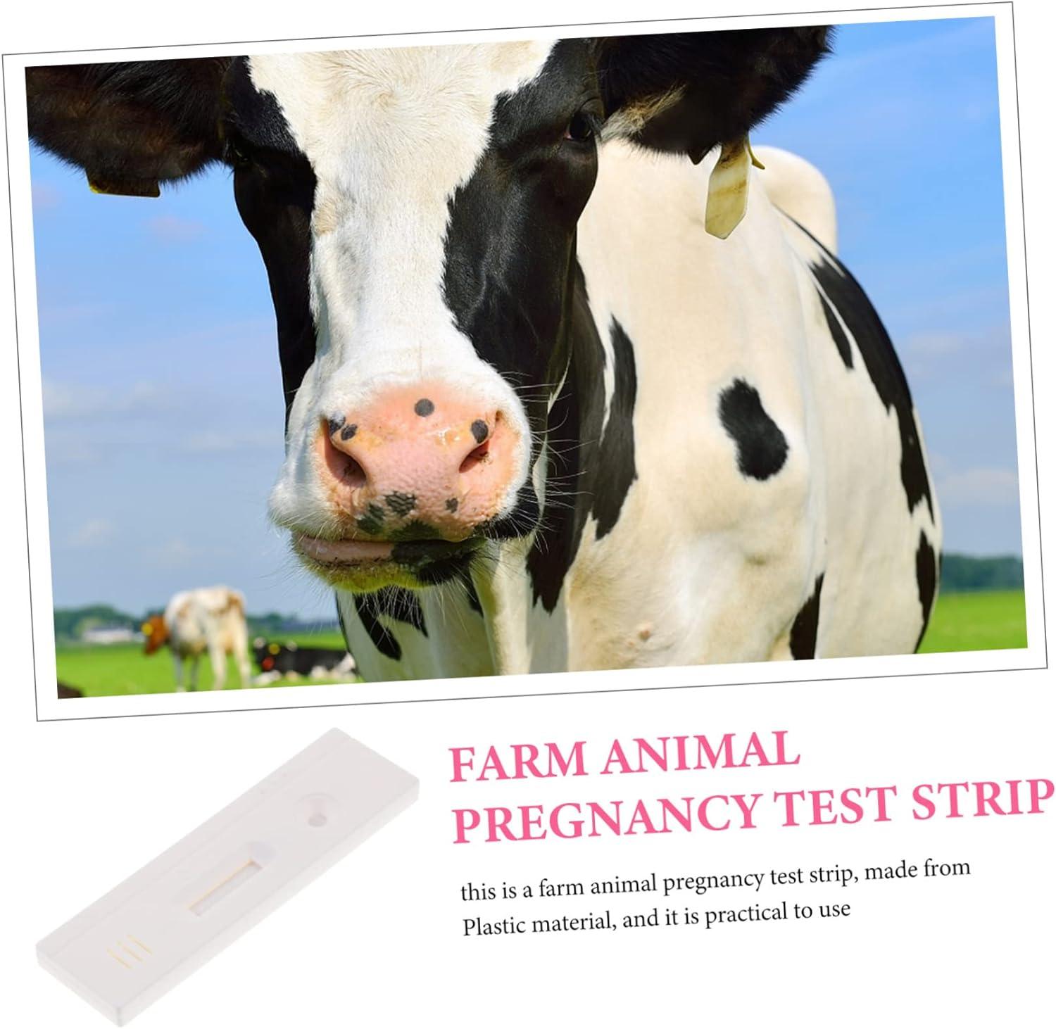 minkissy 1pc Pregnant Tester Pregnancy Test Strip for Cow Livestock ...