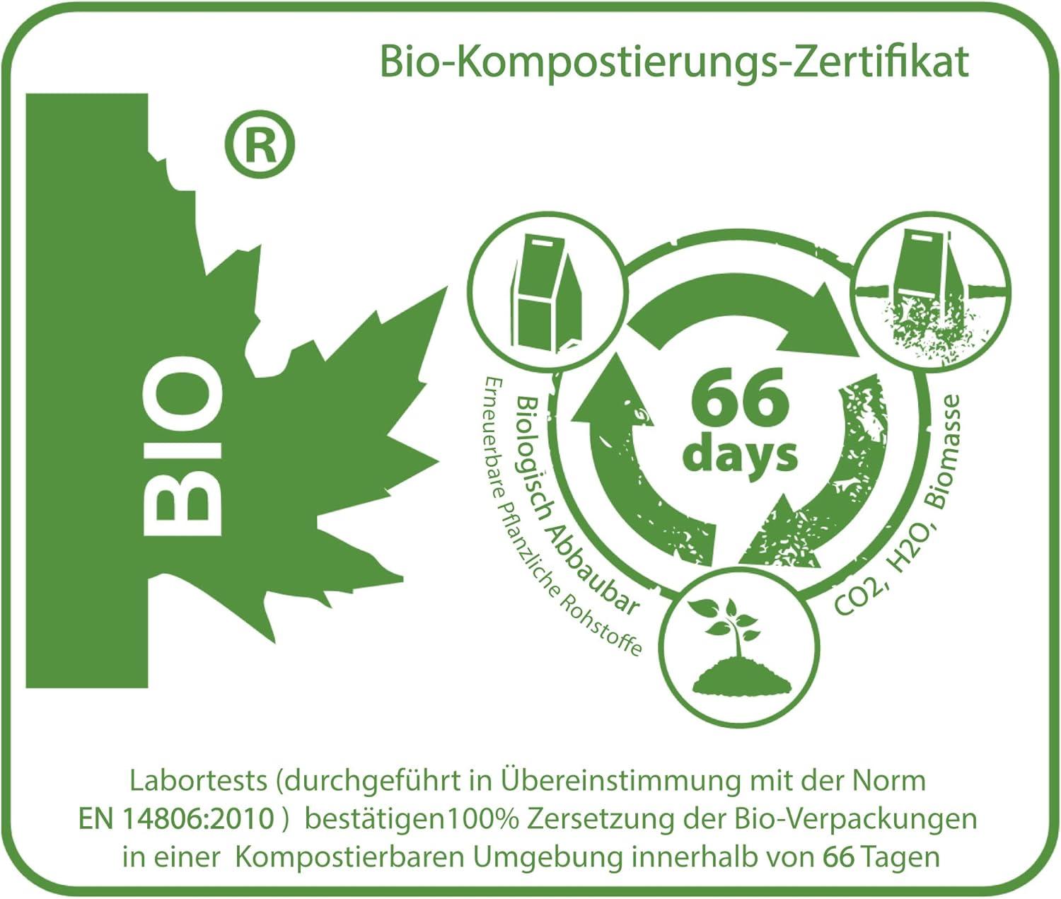 Buy Spintz 400 pcs Bio Chlorella Tablets - 100% Vegan Plastic-Free ...