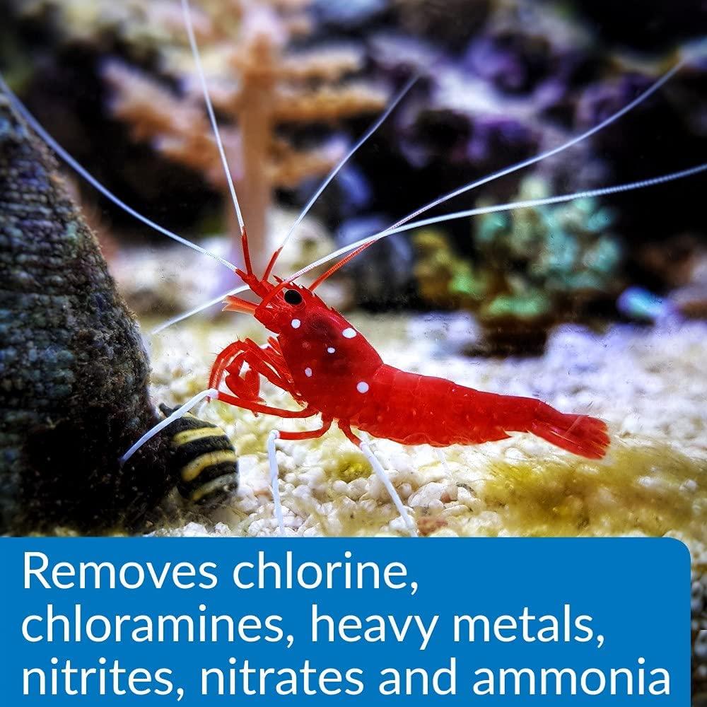 API Aqua Essential Water Conditioner, All-in-One Highly Concentrated ...