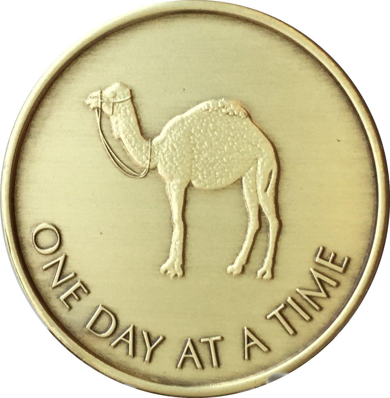 Camel One Day at A Time Bronze AA Medallion - Sobriety Affirmation Coin ...