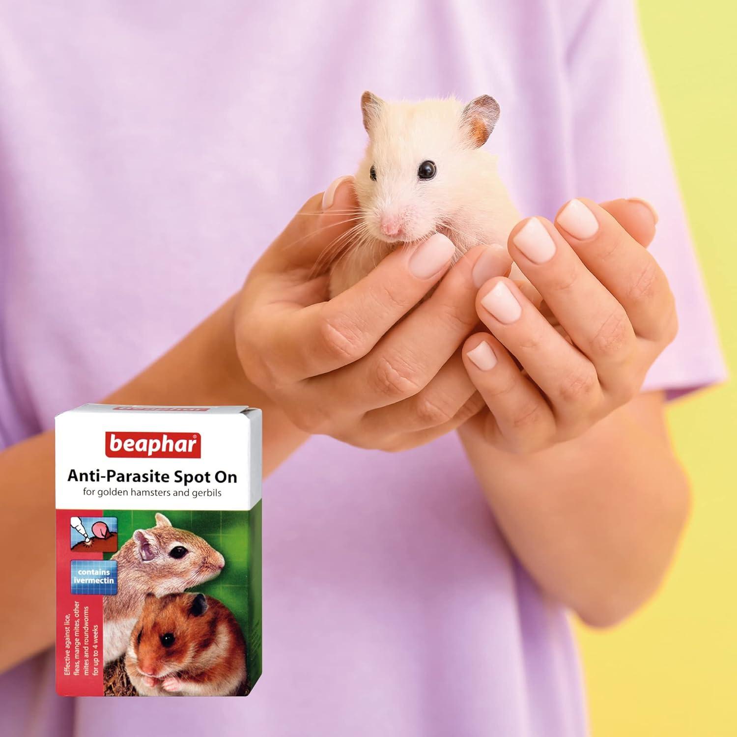 Beaphar - Anti-Parasite Spot-On - For Golden Hamsters Gerbils & Small ...