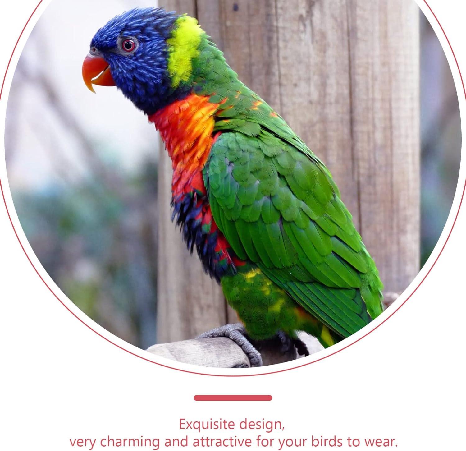 POPETPOP Cute Sets 4pcs Bird Diaper Parrot Flight Suit Parrot Diaper ...