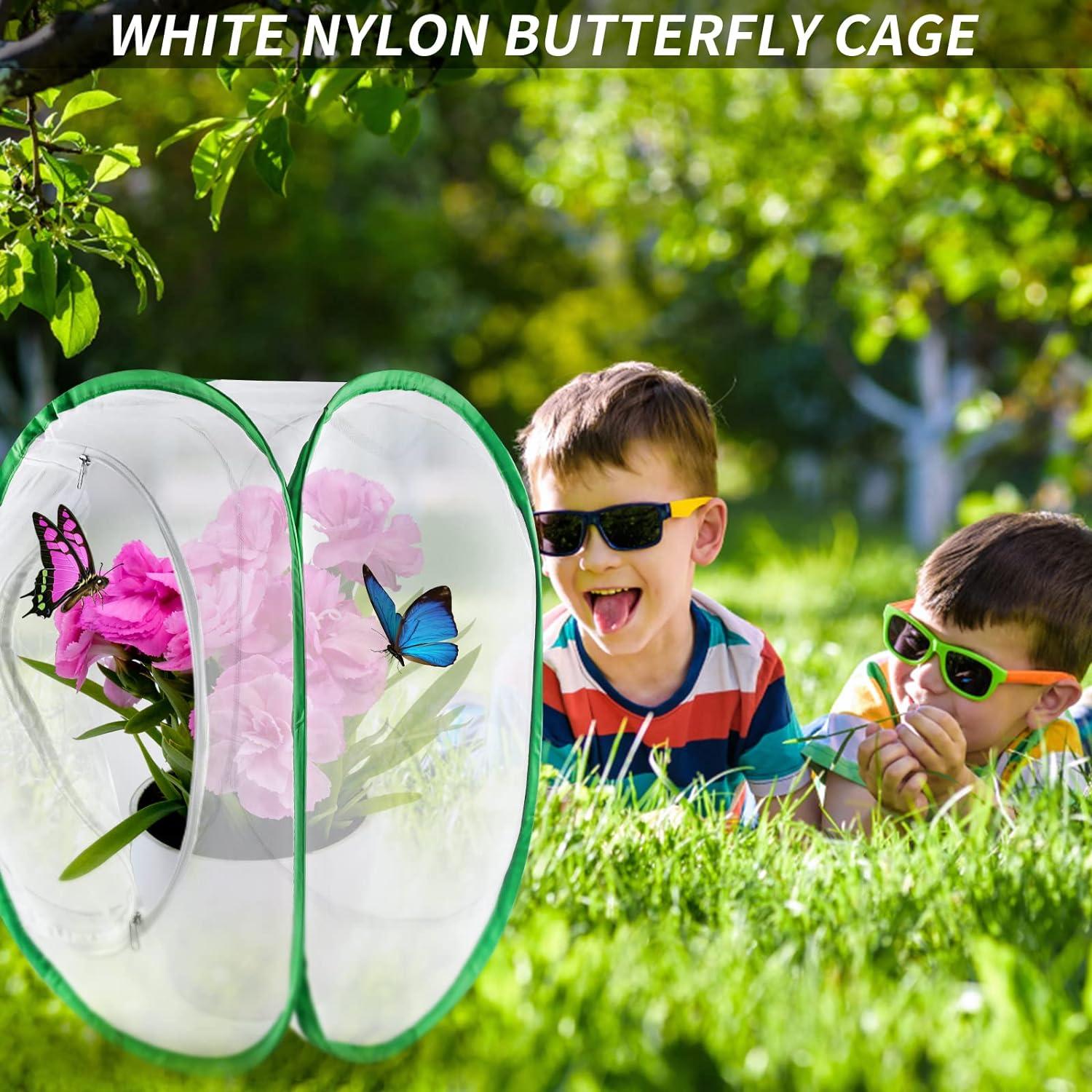 TSLBW Insect Butterfly Habitat Butterfly Garden Kit Large Butterfly ...