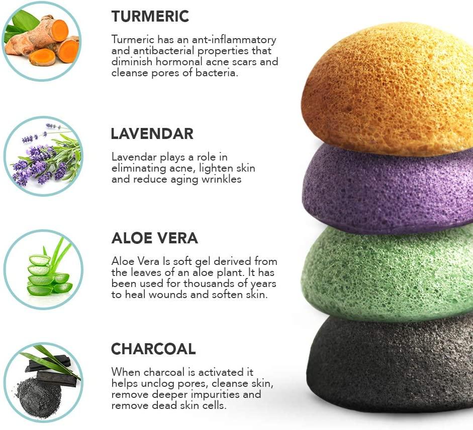 Organic Natural Facial Konjac Sponge Set with Aloe Vera, Activated ...