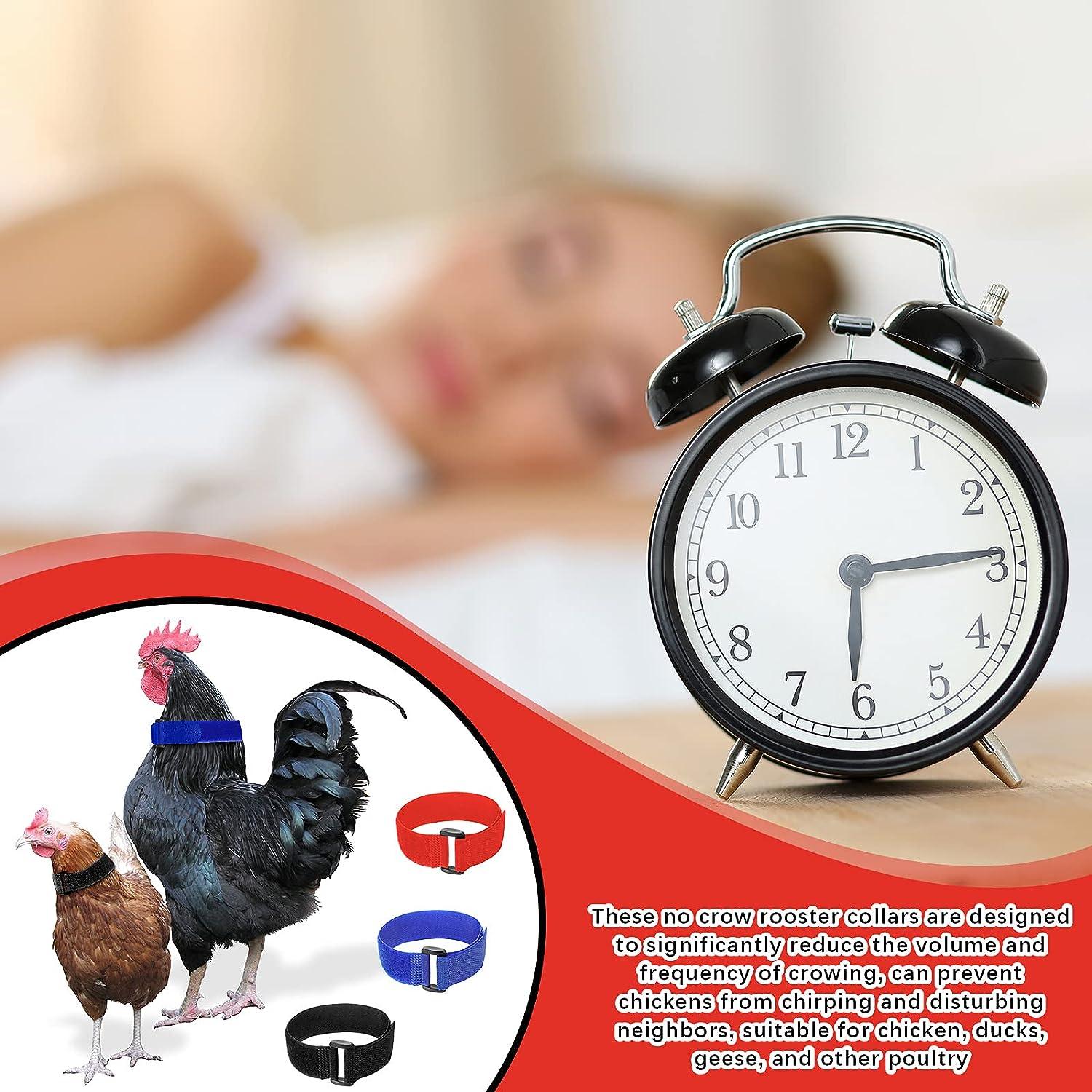 6-Piece Anti-Crow Rooster Collar - Nylon Neck Belt to Prevent Chicken ...