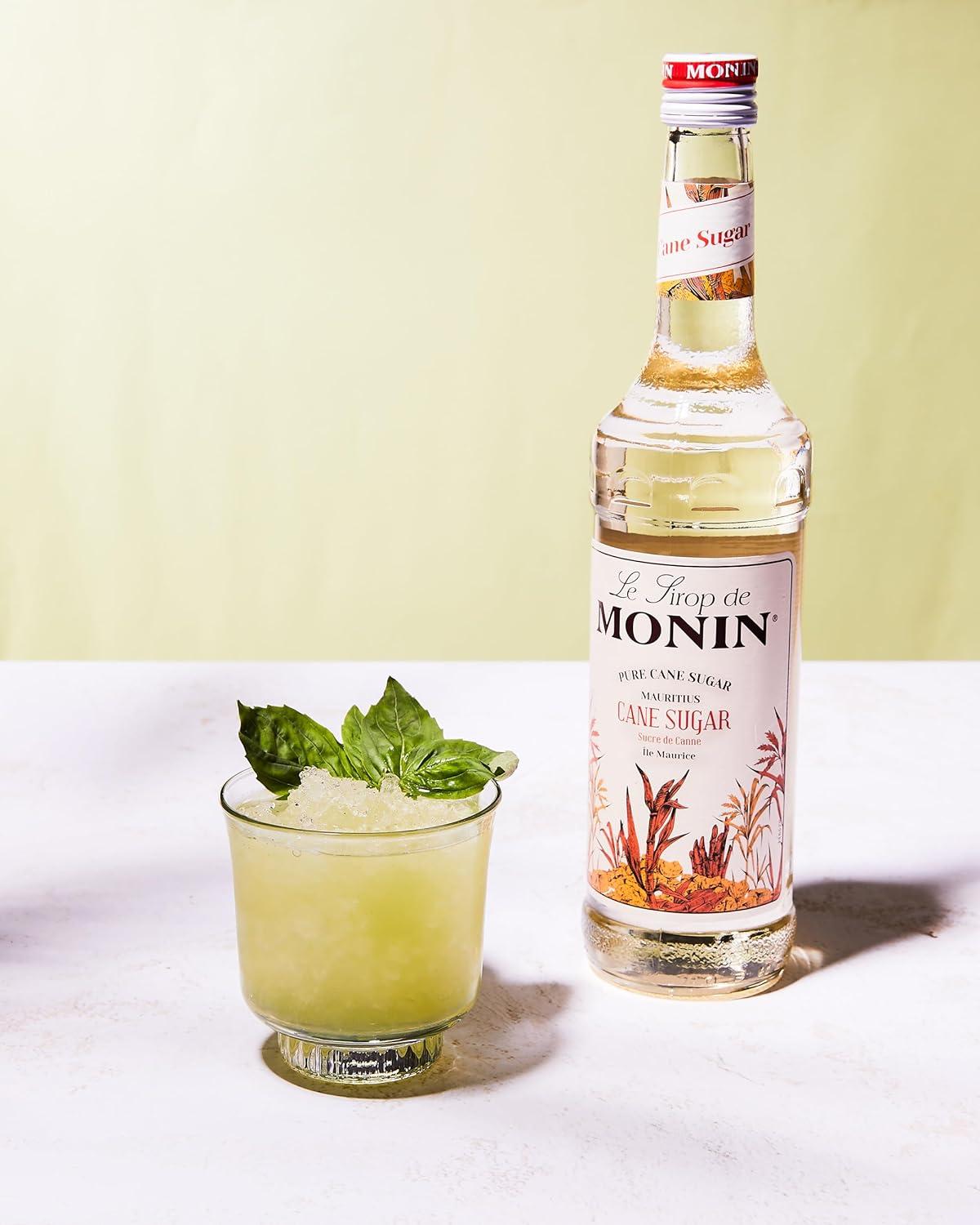MONIN Premium Pure Cane Sugar Syrup 700ml - Vegan-Friendly, Allergen ...