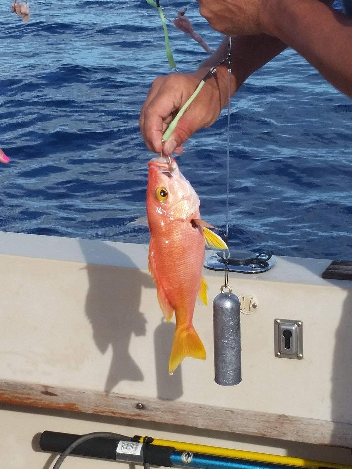 Deep Drop Fishing Rig with 5 Demon Circle 6/0 Hooks and Glow Sleeve ...