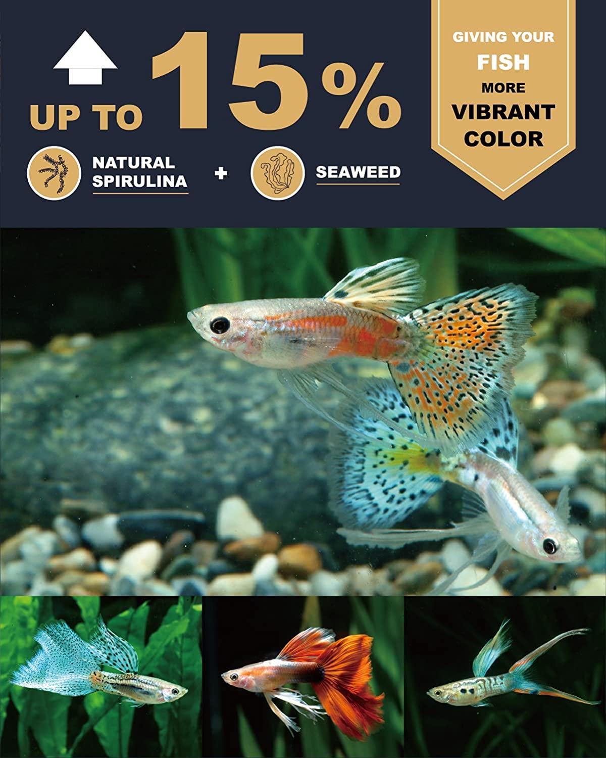 Ultra Fresh Royal Guppy Mignon Pellet - Natural Guppy Food with Sword Prawns, Spirulina ...