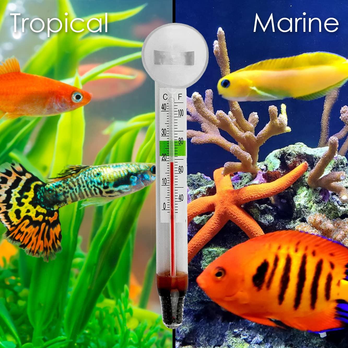 Glass Aquarium Thermometer with Safe Zone Section and Suction Cup for ...