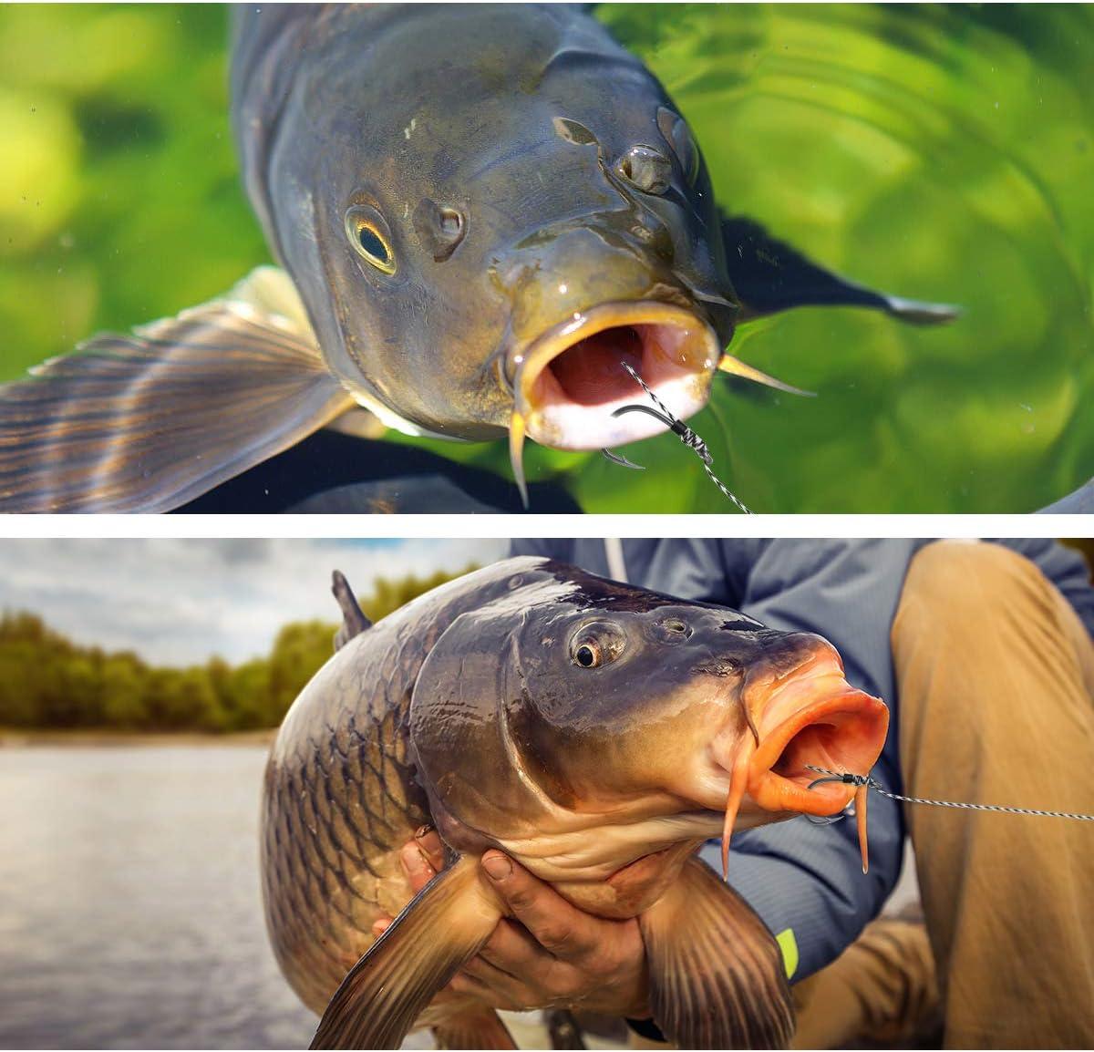 how to make chow carp bait