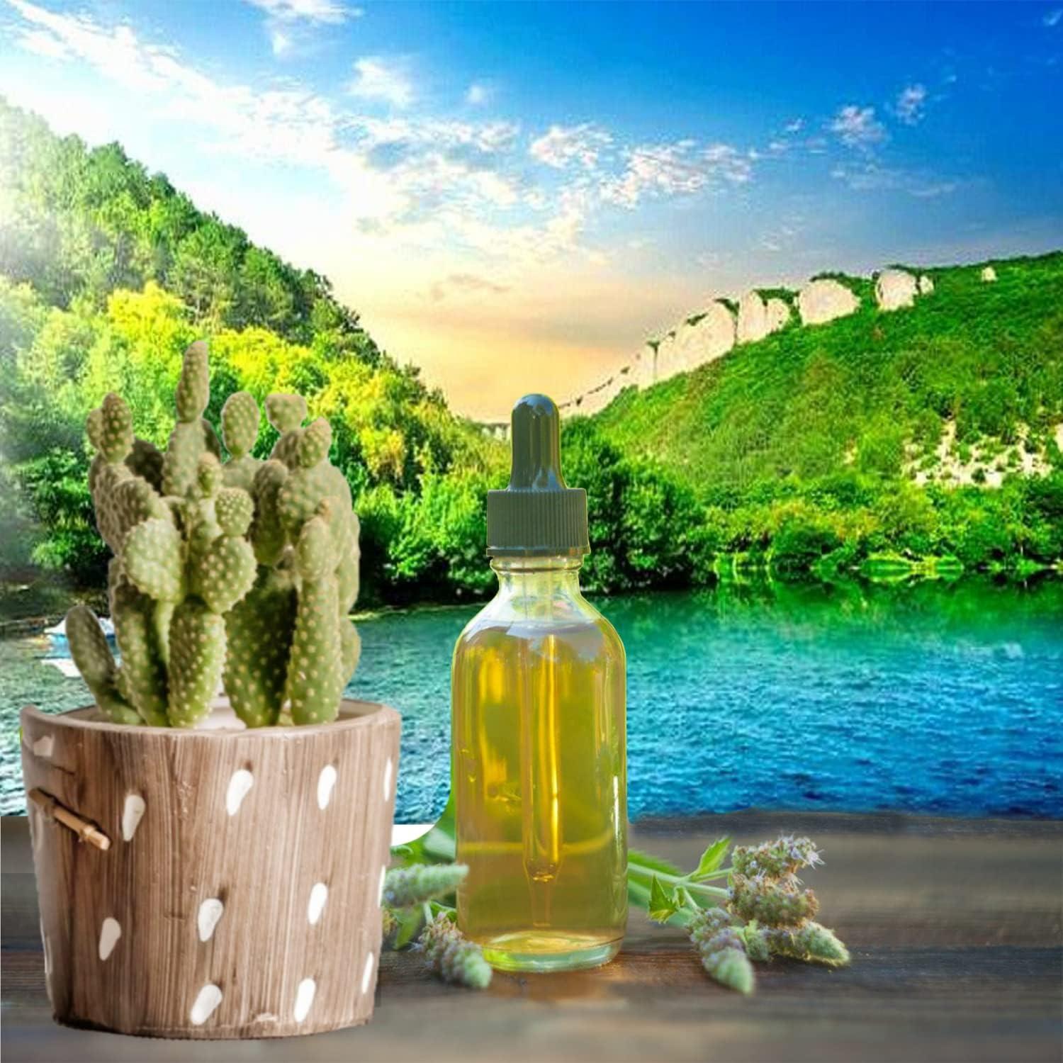 10ml Transparent Glass Pipette Bottle Set - 28pcs Black Cap for ...