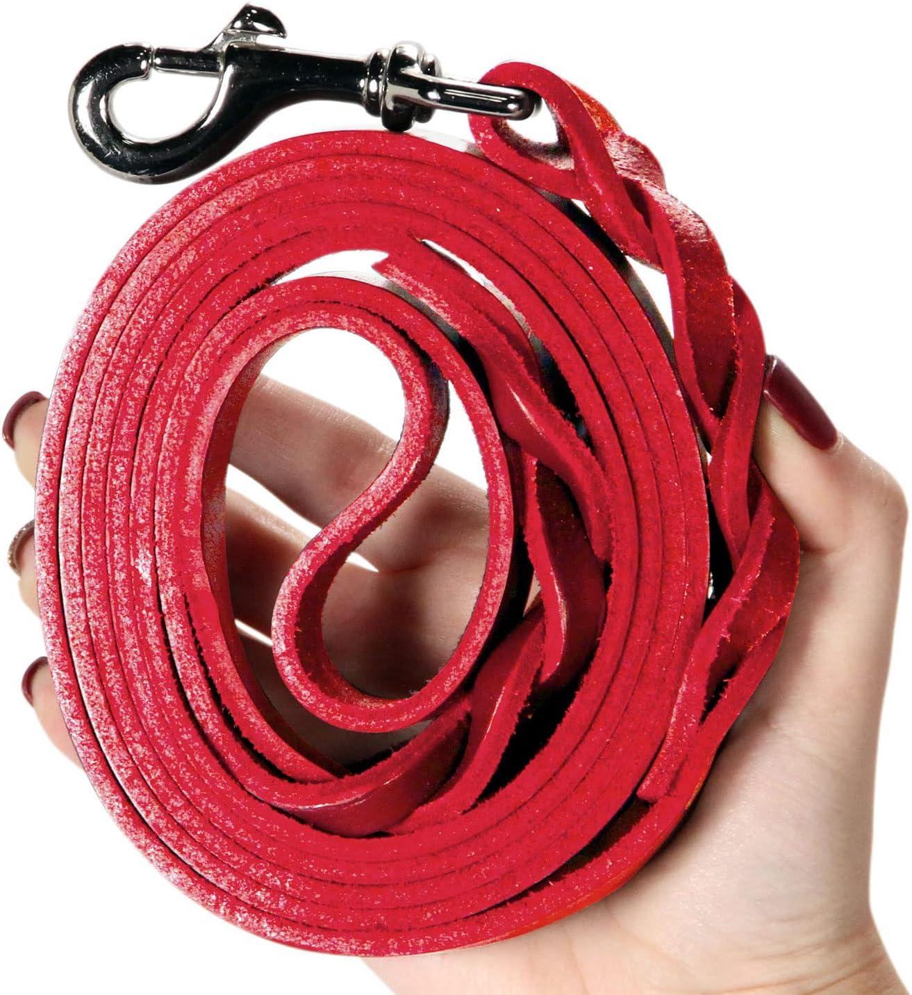 Logical Leather 6FT Braided Dog Leash - Heavy Duty Full Grain Leather ...