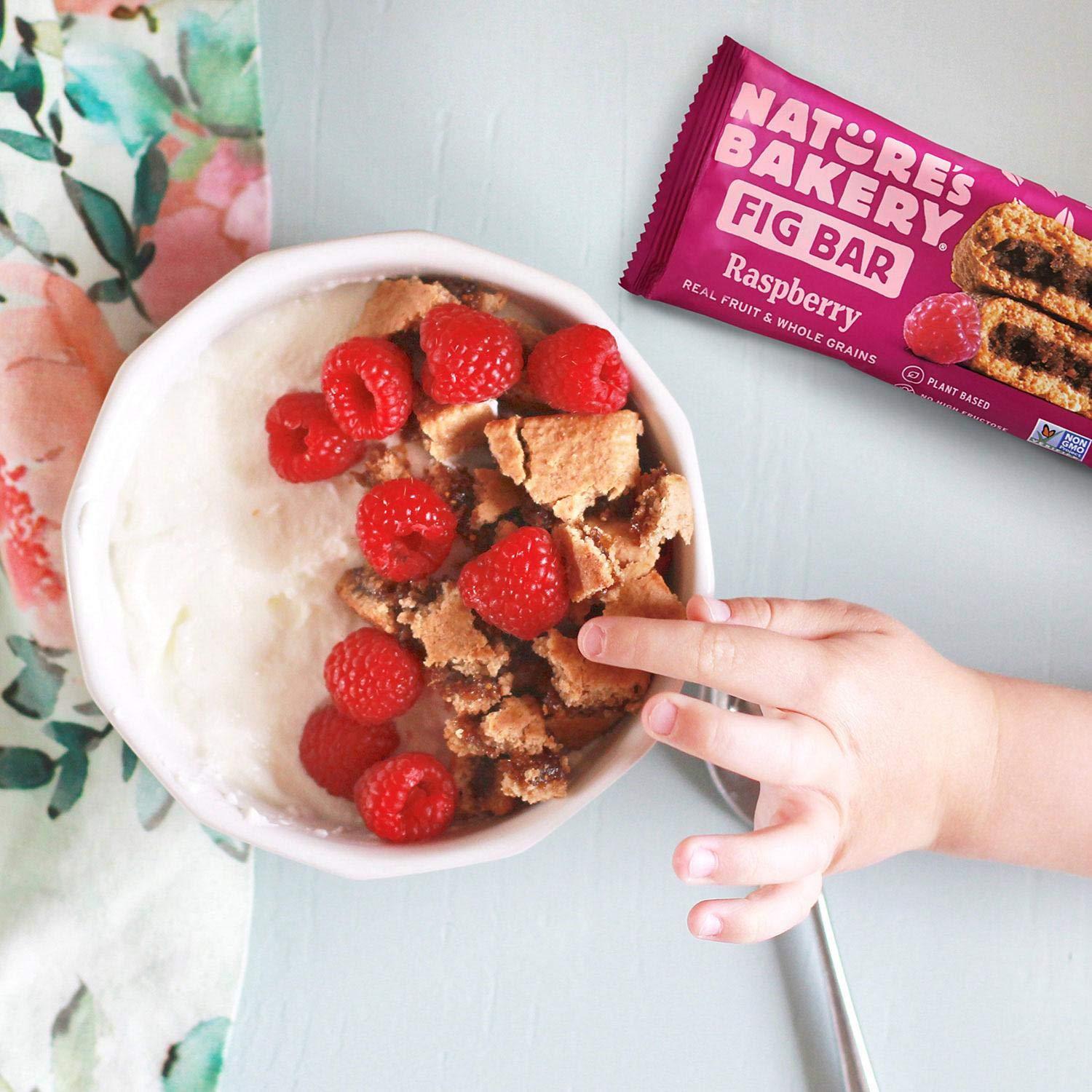 Nature's Bakery Whole Wheat Fig Bars - 24 Twin Pack, 2oz per Fig, 24 ...