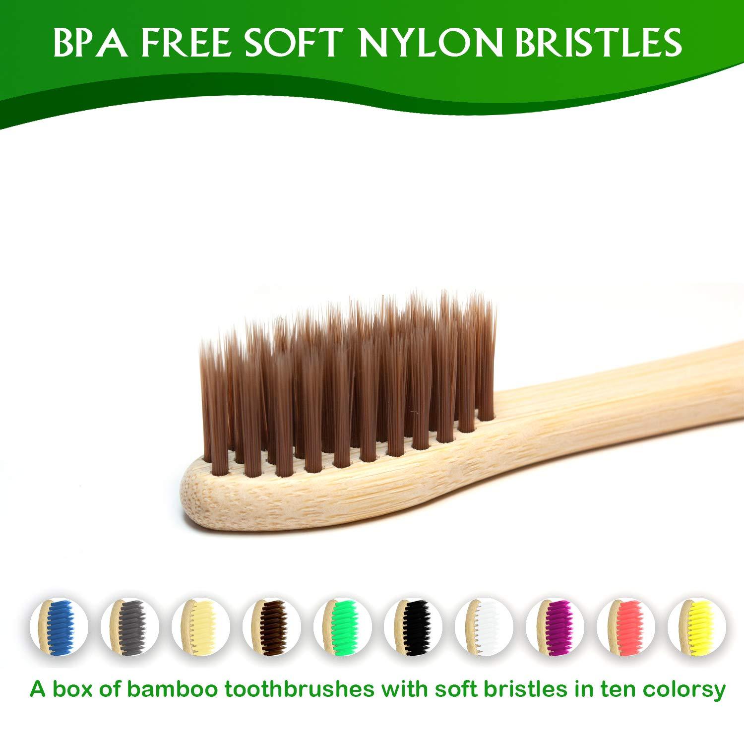 10 Pcs Biodegradable Bamboo Charcoal Toothbrushes | Soft Bristles | Eco ...