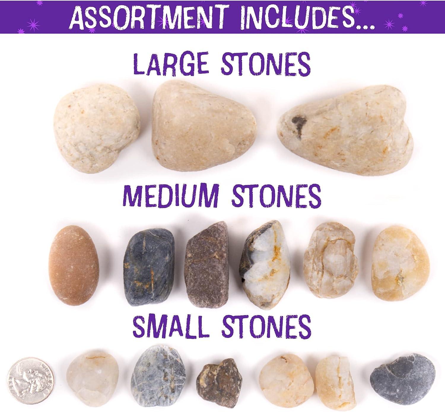 Galaxy Paint Your Own Rock Art Kit - Black | Horizon Group USA | Buy ...