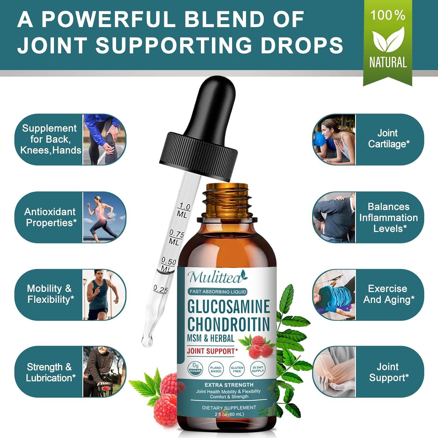 (2 Pack) Glucosamine Chondroitin MSM Liquid Drops - Extra Strength ...