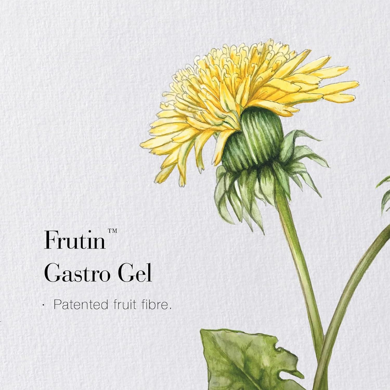 New Nordic Frutin Gastro Gel 60 Chewable Tablets - Fast-Acting Relief ...