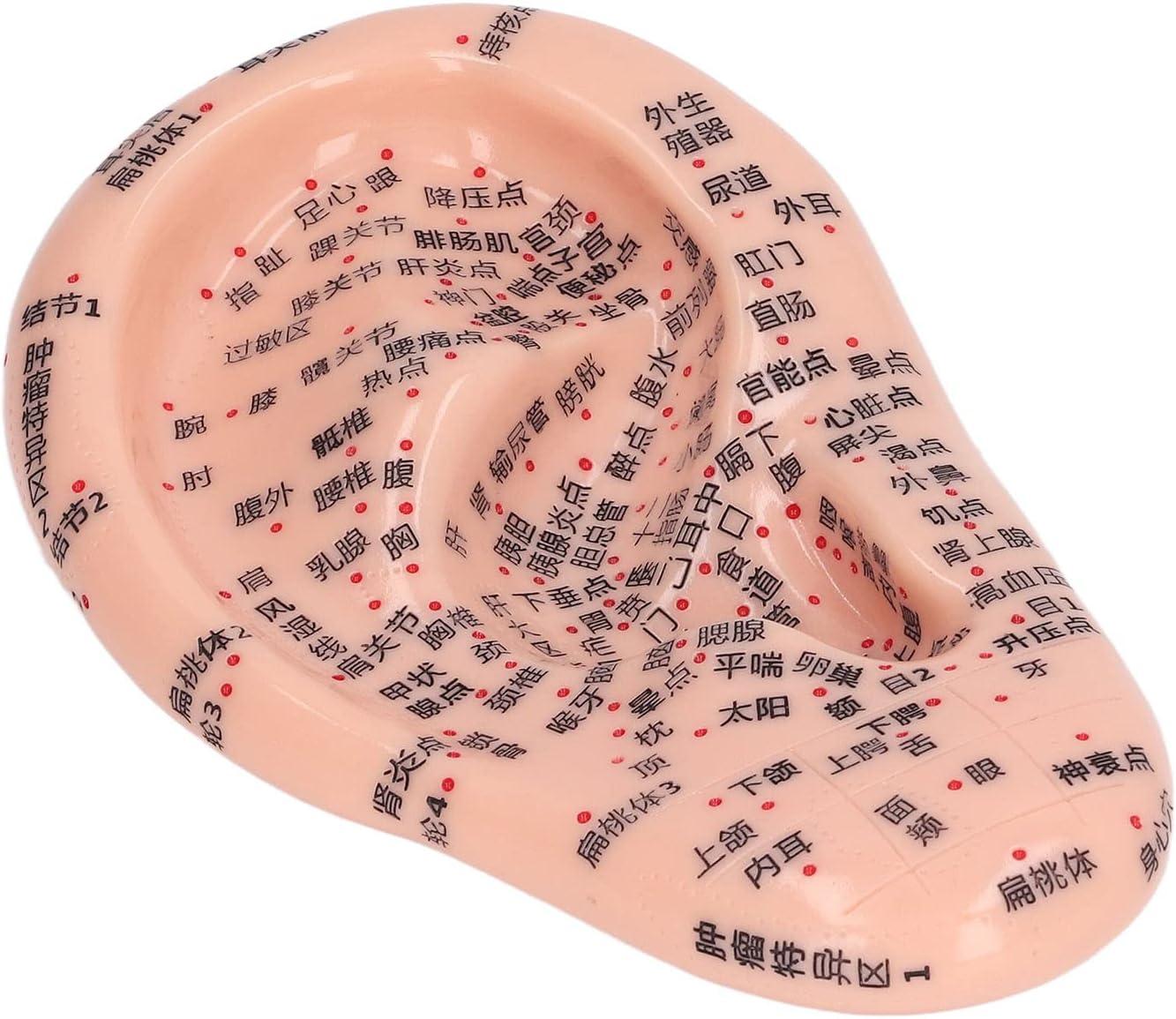 Silicone Ear Acupuncture Model for Laboratory Study | International ...