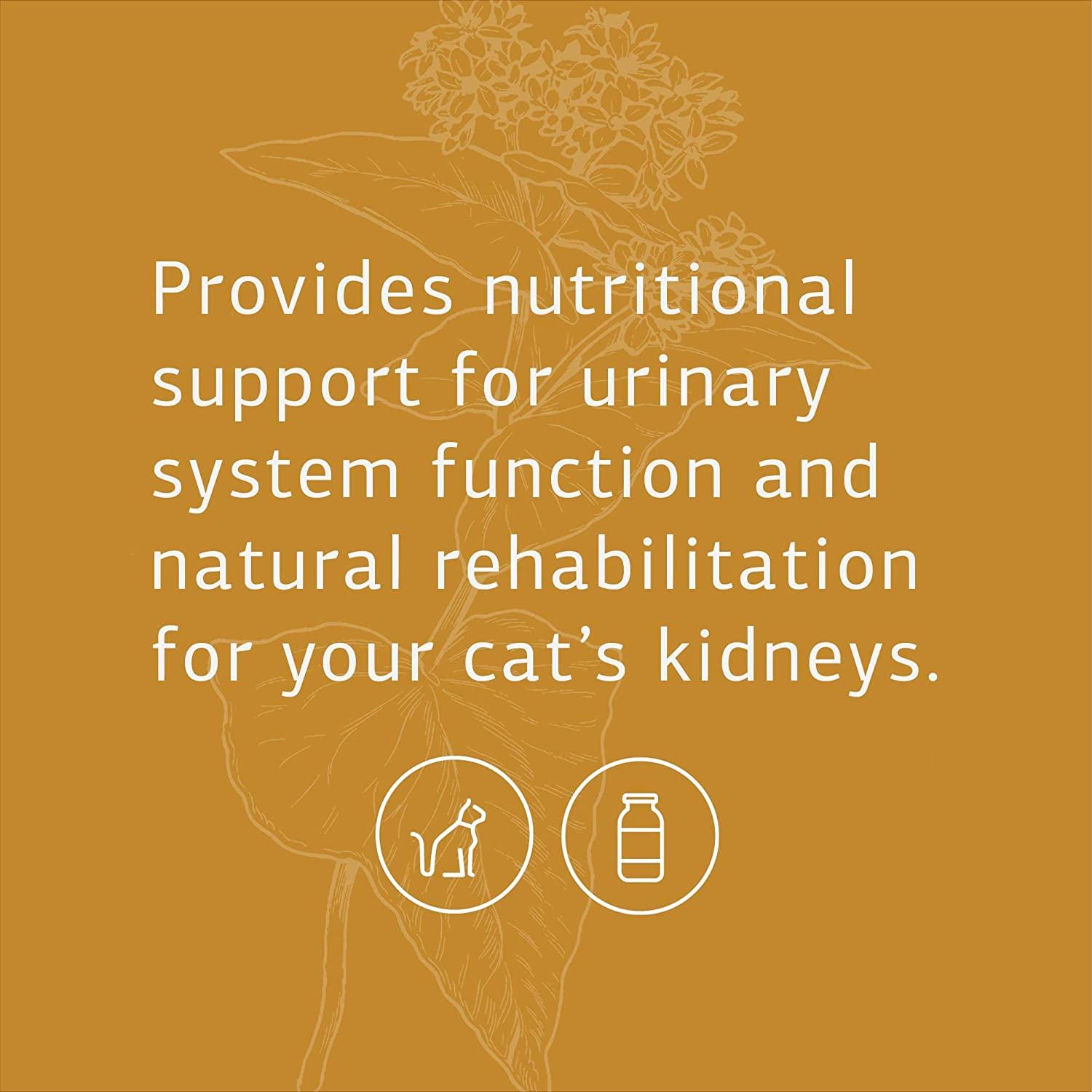 Standard Process Feline Renal Support - Kidney & Urinary Health for ...